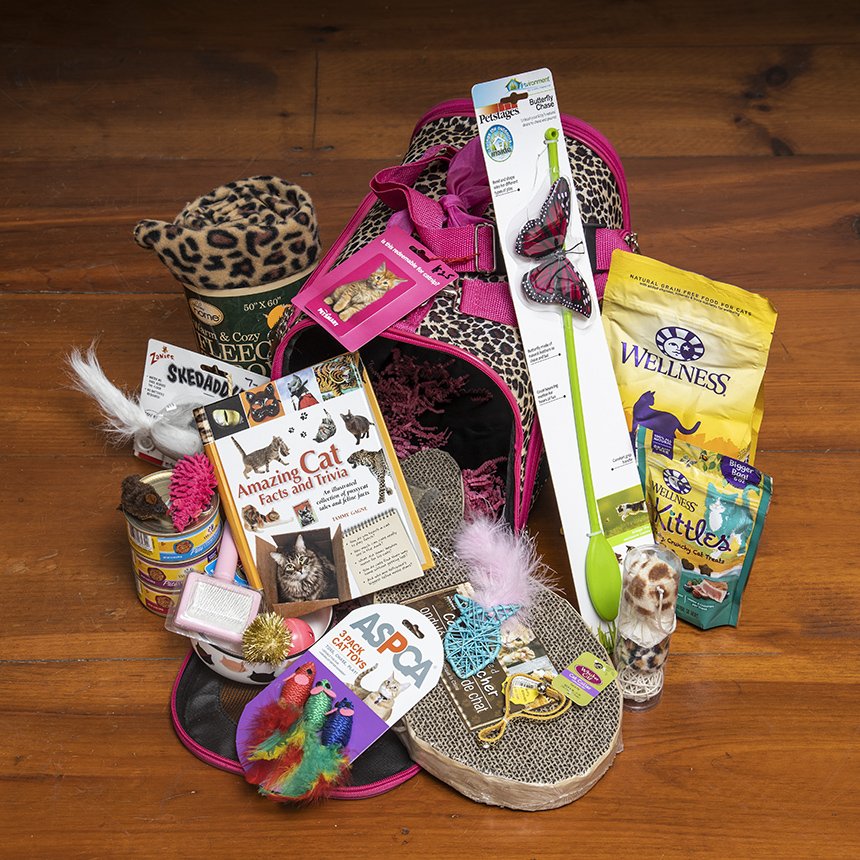 Spring Raffle – Collaborative Cats