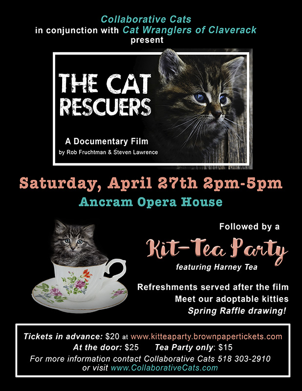The Cat Rescuers Kit-Tea Party – Collaborative Cats